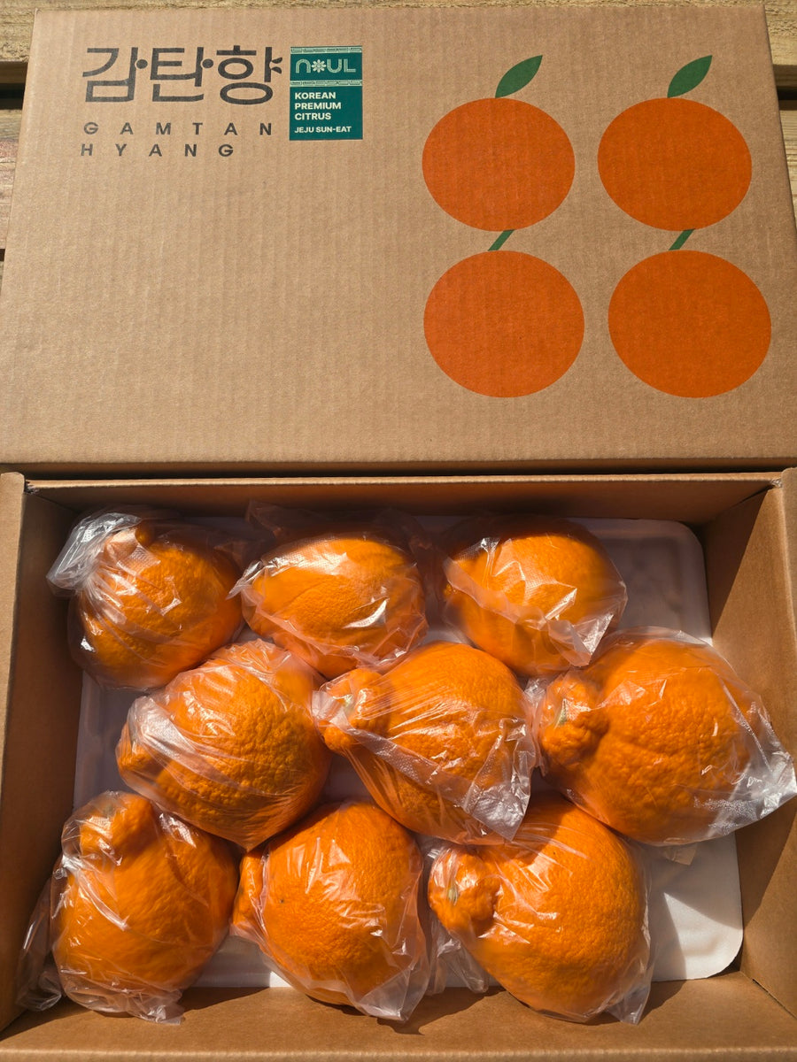 마켓밴> 제주 한라봉 1box(3kg) – marketvan.ca